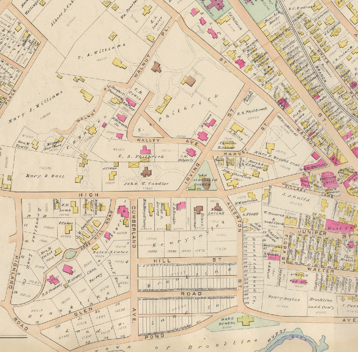 Pill Hill Walking Tour